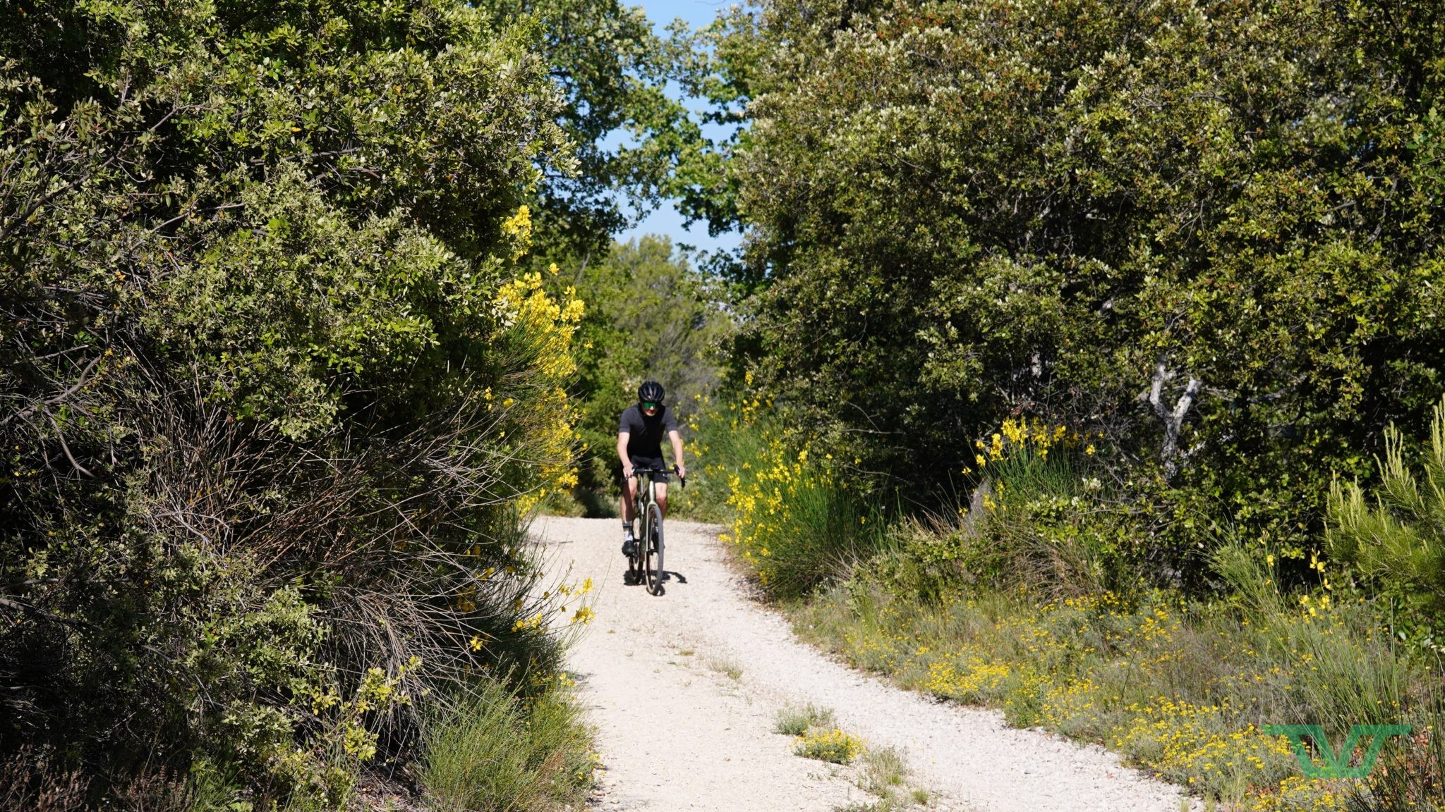 Test – Cannondale Synapse Neo Allroad : un gravel électrique sans ...